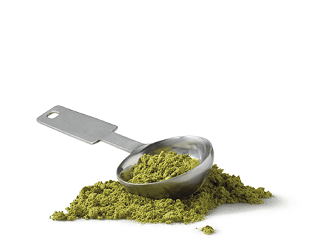 Matcha Green Tea - Smoothie King